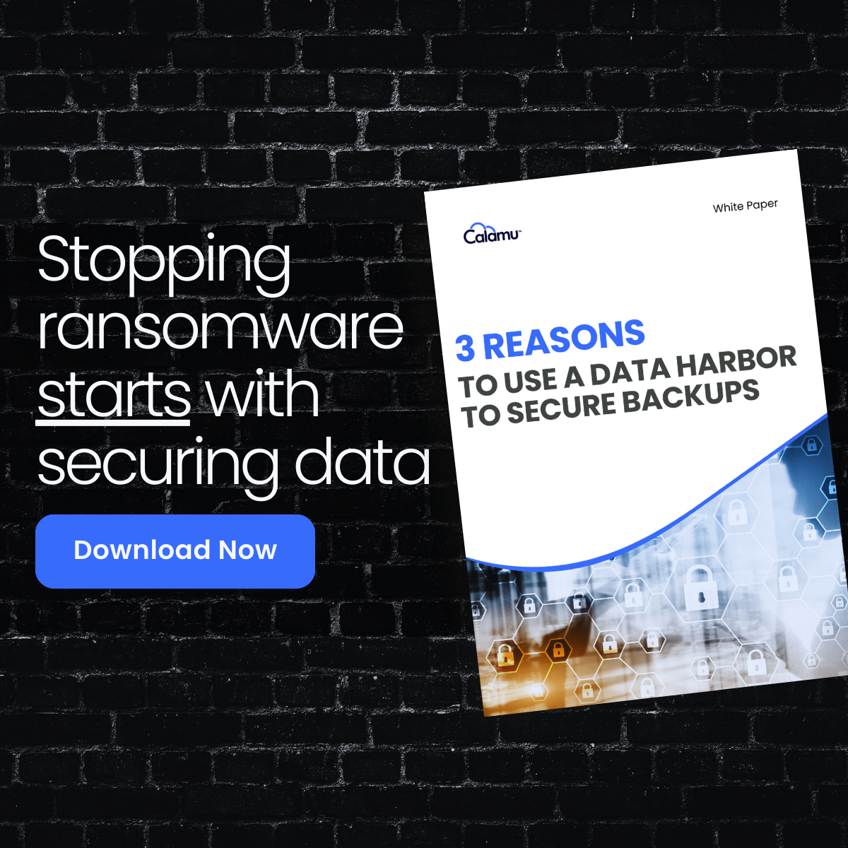 White Paper: Three Reasons to Use a Data Harbor for Backup